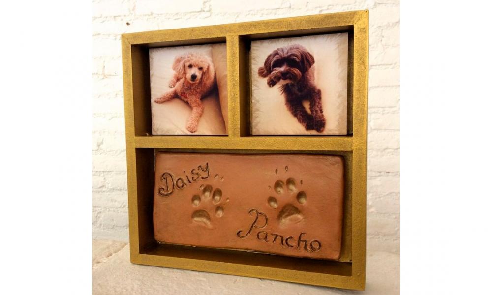 Pet Paw Keepsake Shadow Box